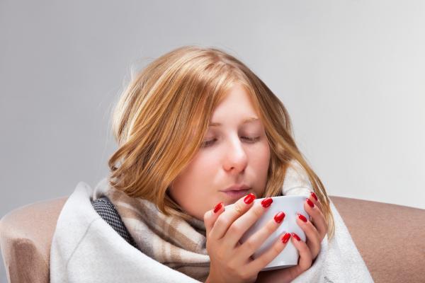 Remedios caseros para la sinusitis - ¡Descubre todas las soluciones ...