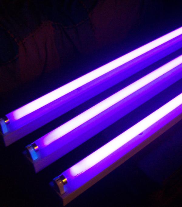 Cómo hacer una fiesta flúor