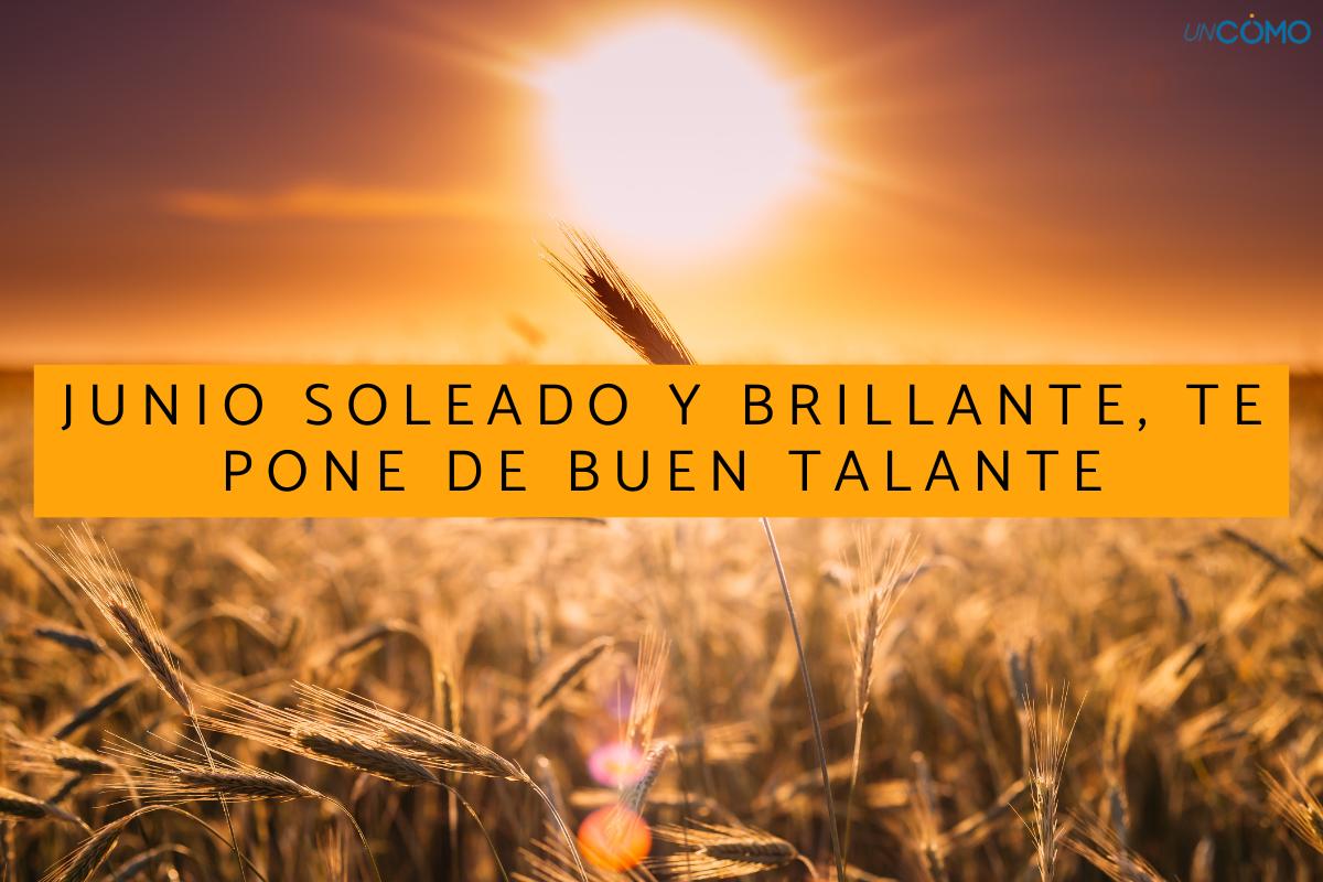 Refranes de junio: lista de los más populares