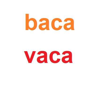 Cuál es la diferencia entre baca y vaca