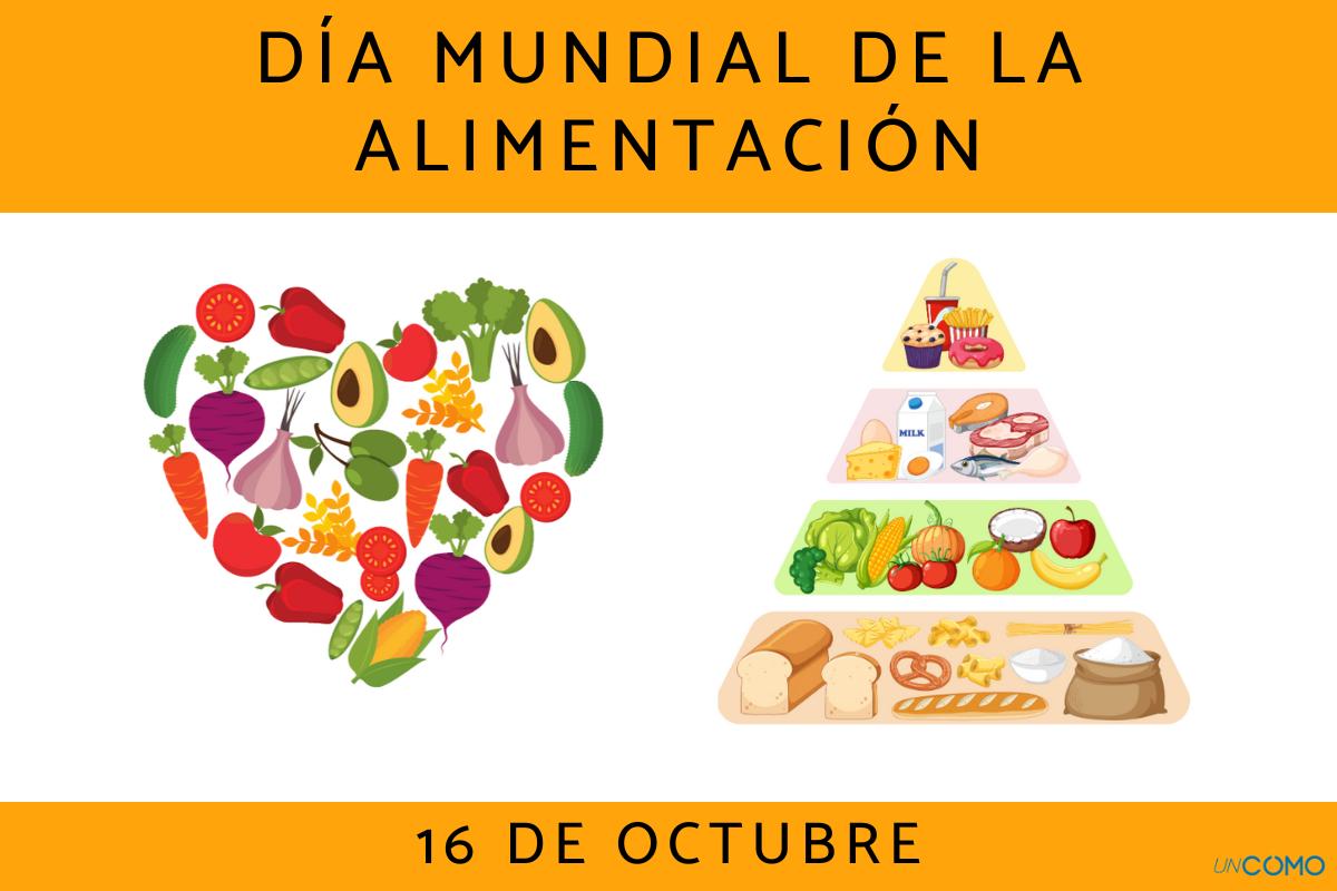Día Mundial de la Alimentación: qué es y por qué se celebra - ¡Descubre ...